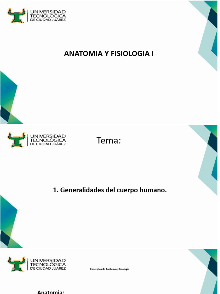 Anatomia y Fisiologia | PDF | Membrana celular | Citosol