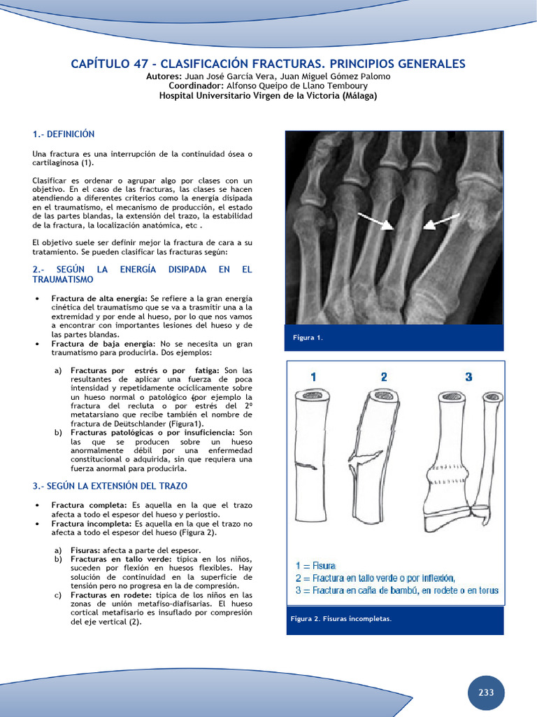 Ortopedia Fracturas | PDF | Codo | Hombro