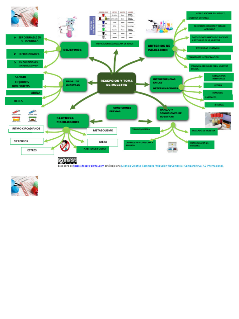 Toma de Muestra Mapa Terminado | PDF | Medicina | Causas de la muerte