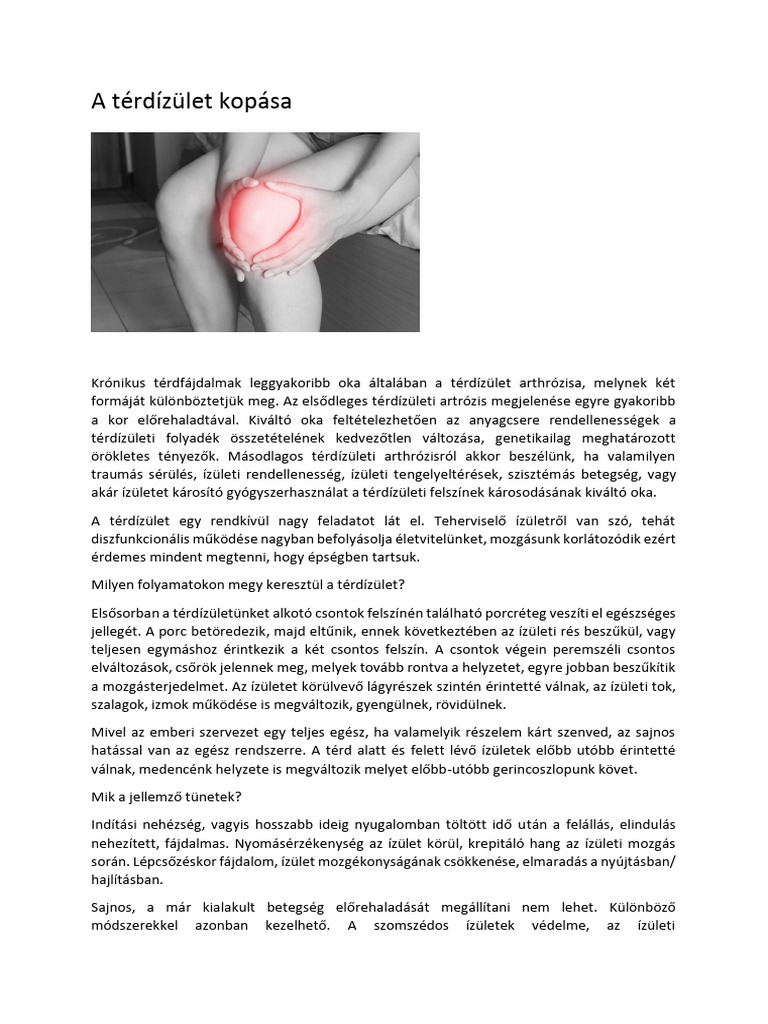 Térd | PDF