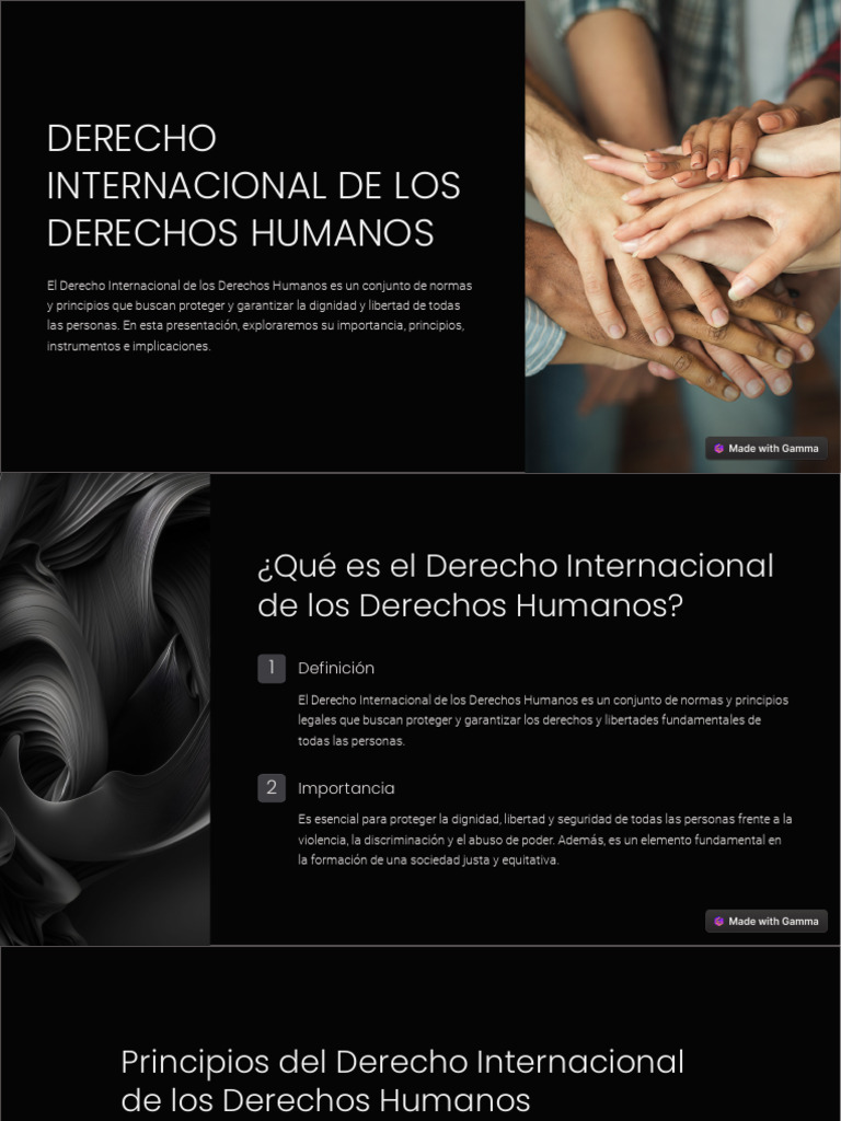 Derecho Internacional de Los Derechos Humanos | PDF | Derechos humanos ...
