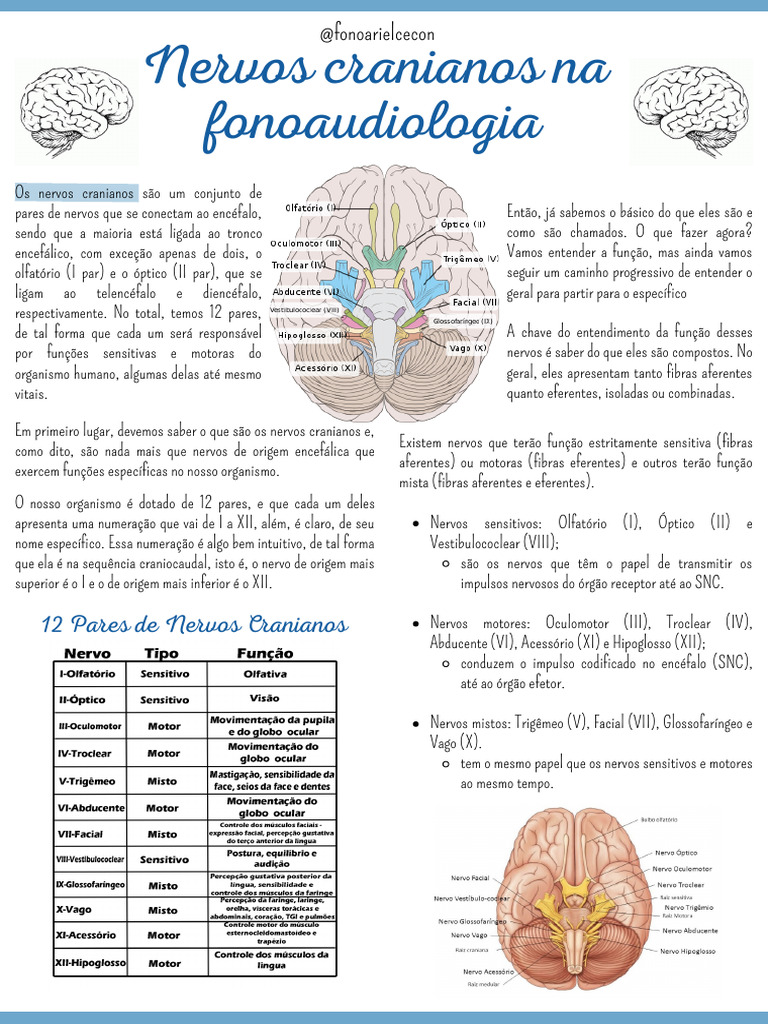Funções dos 12 Pares Cranianos | PDF | Nervo | Sistema visual