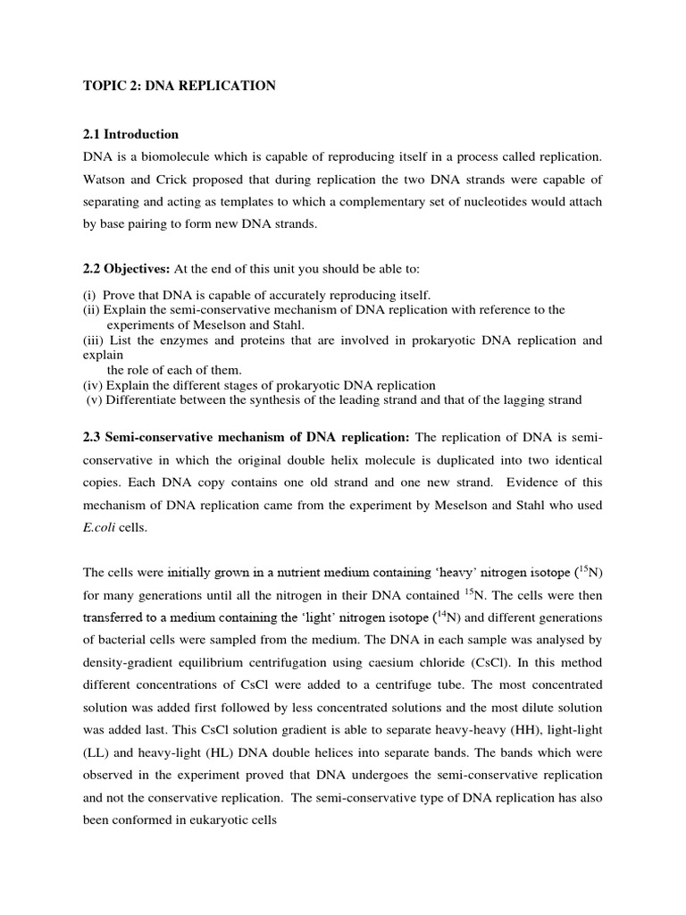 DNA Replication | PDF | Dna Replication | Primer (Molecular Biology)