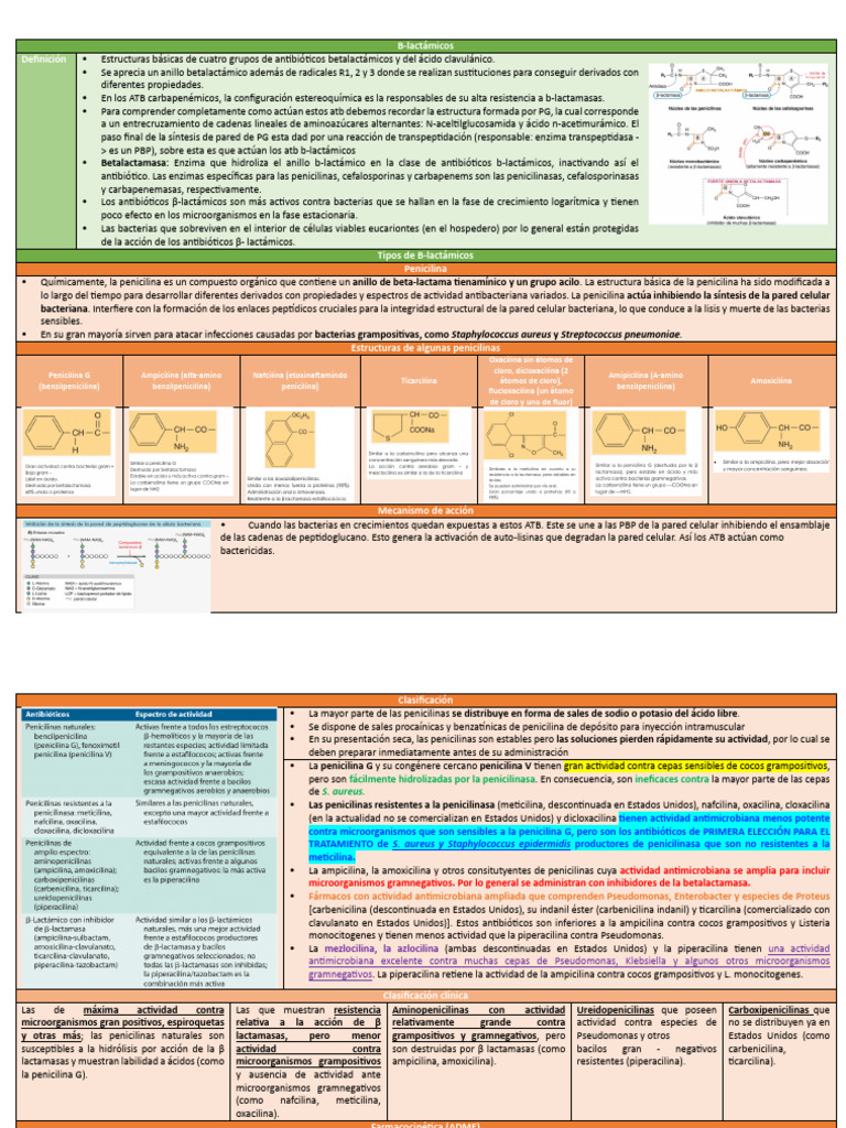 Tabla B Lactámicos Fco | PDF | Penicilina | Beta lactamasa