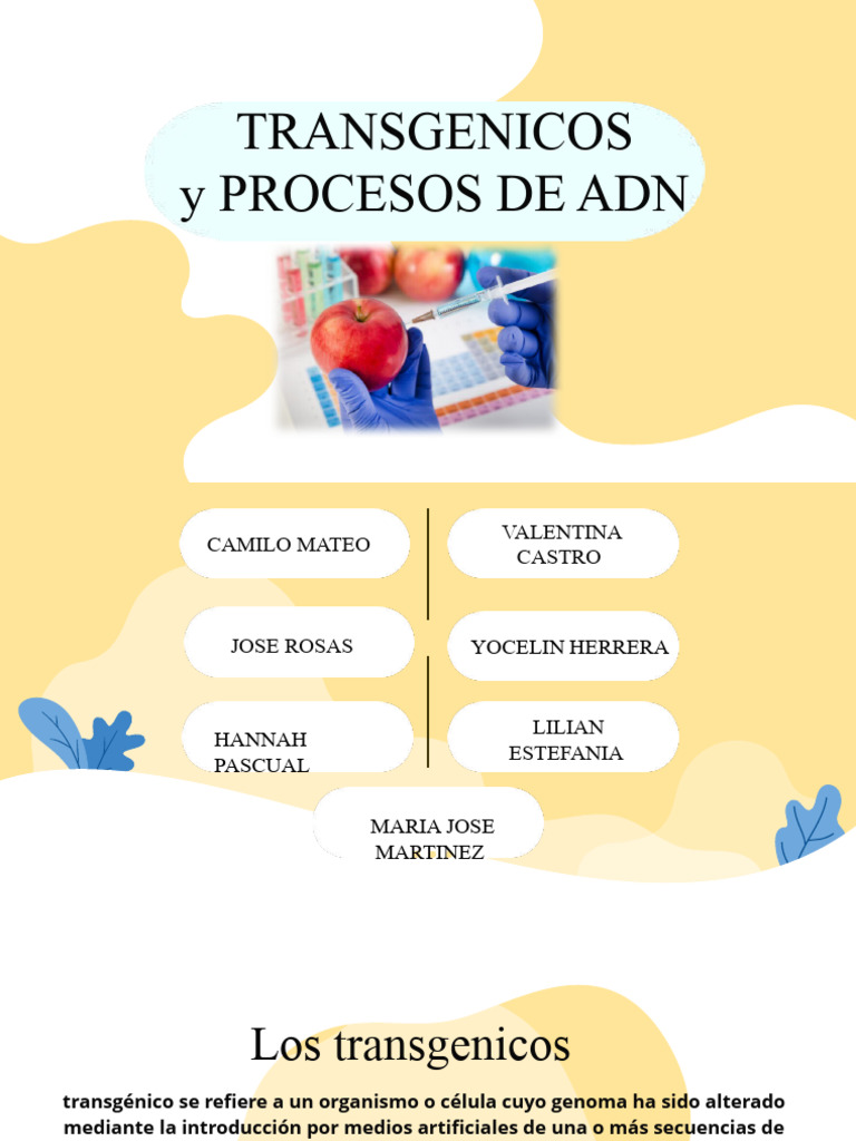 Transgenicos y Procesos de ADN | PDF | Adn | Gene