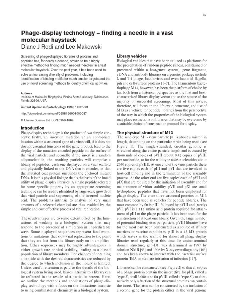Phage Display Technology - Finding A Needle in A Vast Molecular Haystack | PDF | Virus | Proteins