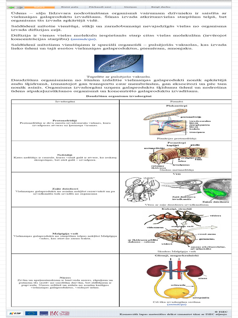 Infographic | PDF