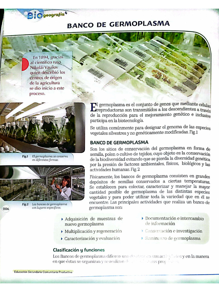 12 Banco de Germoplasma | PDF