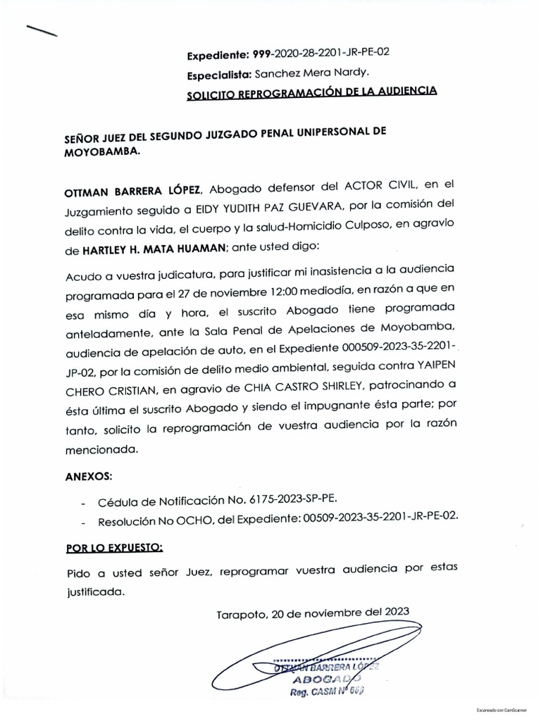 Solicito Reprogramación de La Audiencia | PDF