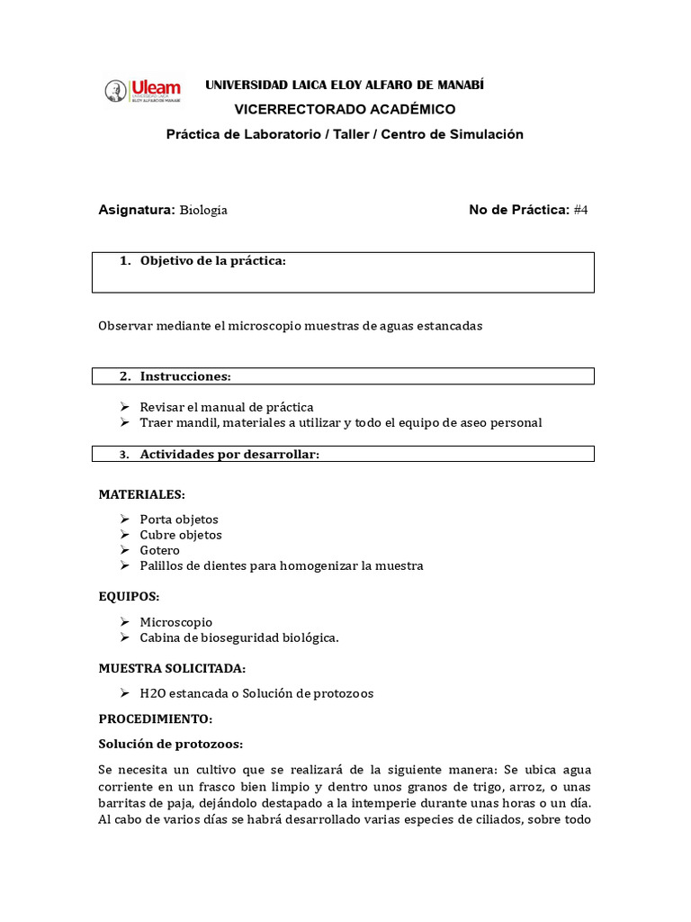 Informe Practica #4 | PDF
