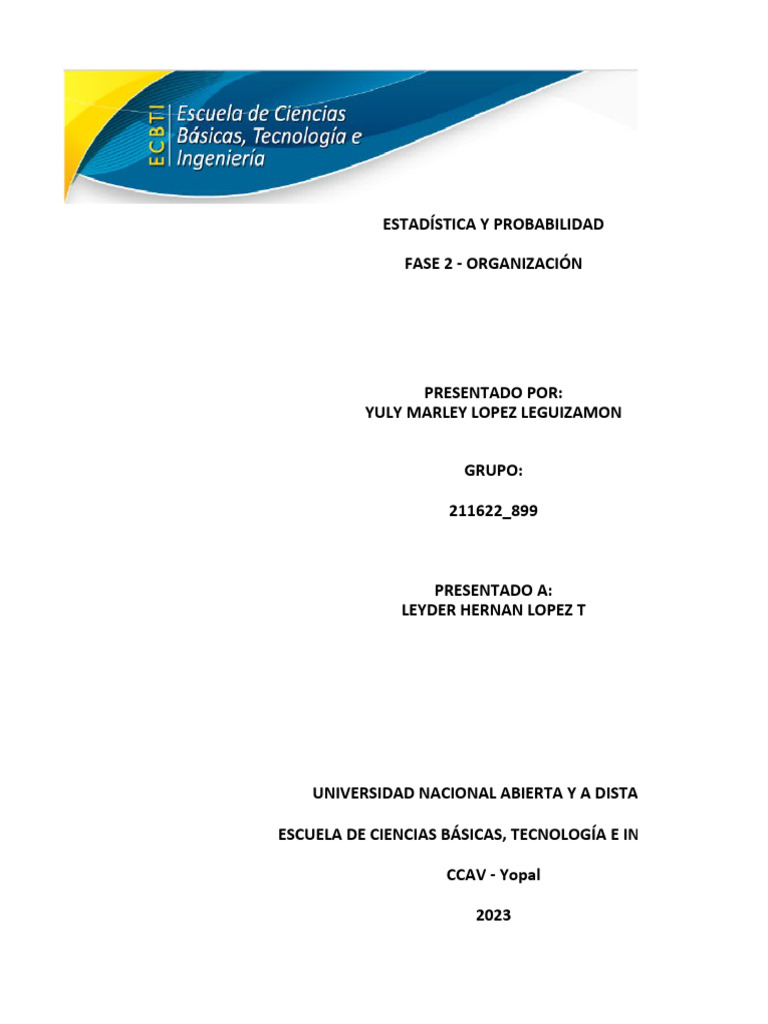 Fase 2 - Organización - Yuly Lopez | PDF | Estadísticas | Vehículos de lujo