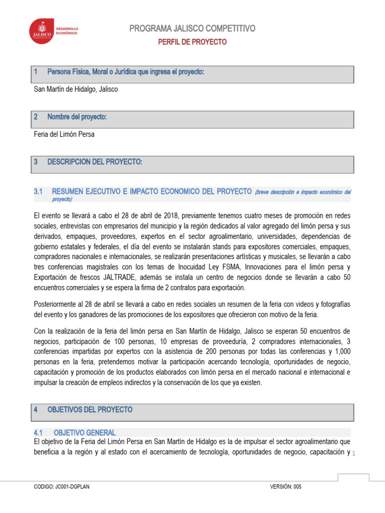 EJEMPLO Perfil Proyecto San Martin | PDF | Exportaciones | Innovación