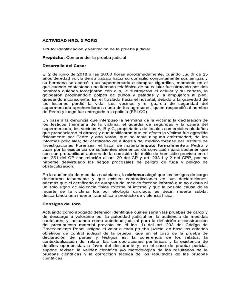 Foro 3 Consigna | PDF