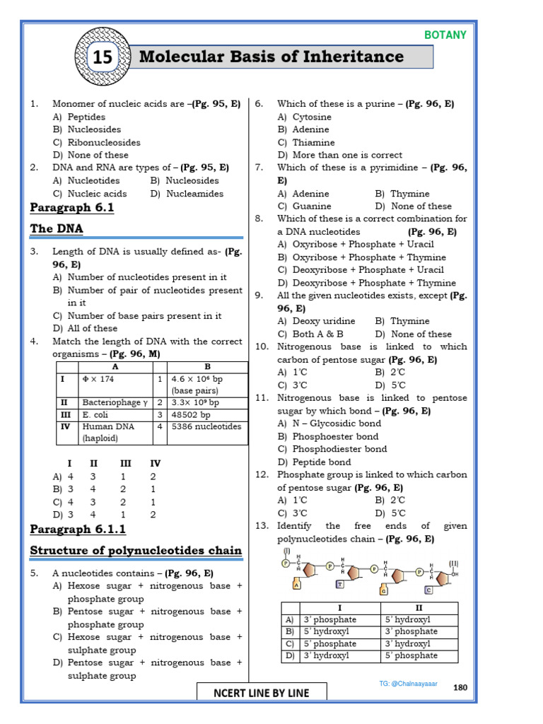 Ncert Line by Line Botany-Mbi Work Sheet | PDF | Nucleotides | Dna