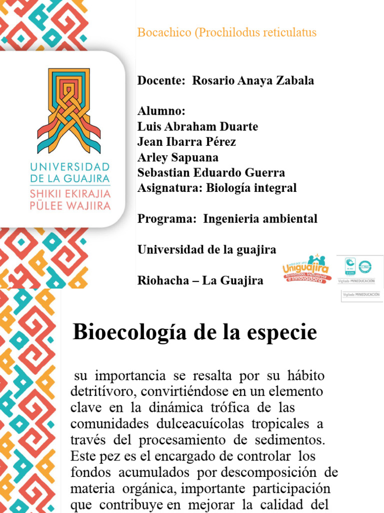 Bocachico (Prochilodus Reticulatus) 1.11 | PDF | Ciencias de la Tierra ...