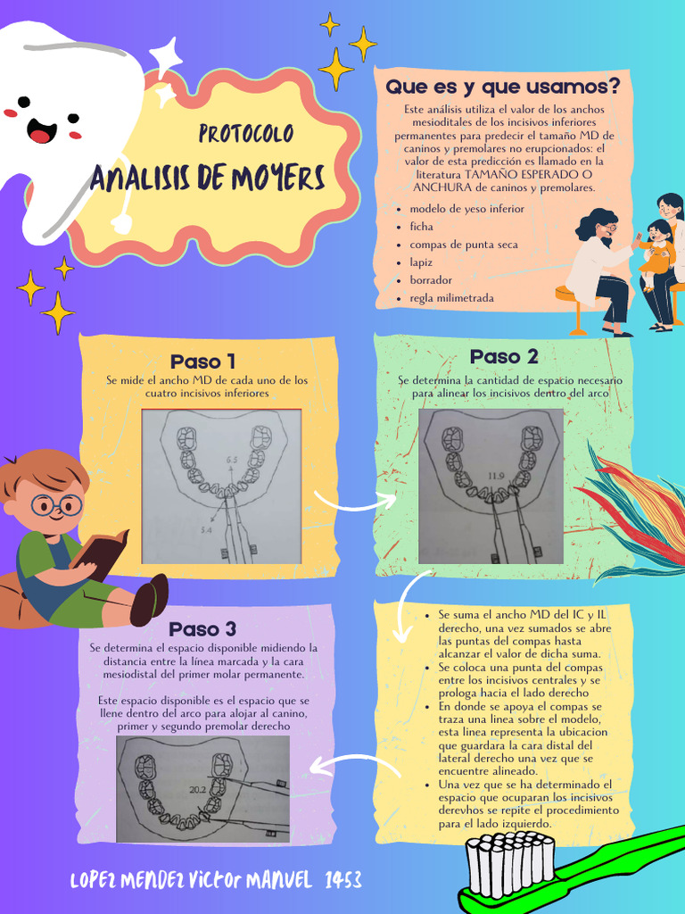 Analisis de Moyers | PDF | Odontología | Anatomia dental