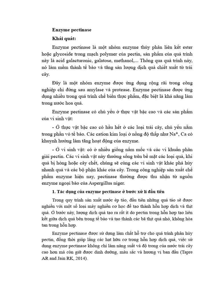 M C Đích Ez Pectinase | PDF