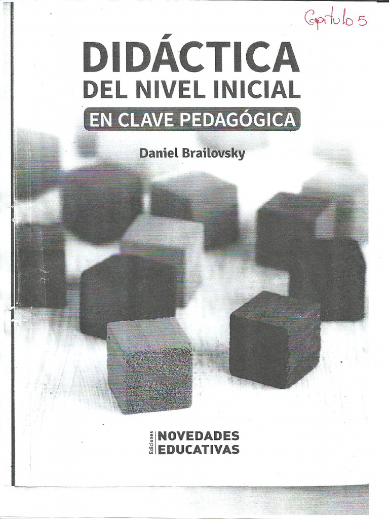 Daniel Brailovsky - CAPITULO 5 - Didactica Del Nivel Inicial | PDF