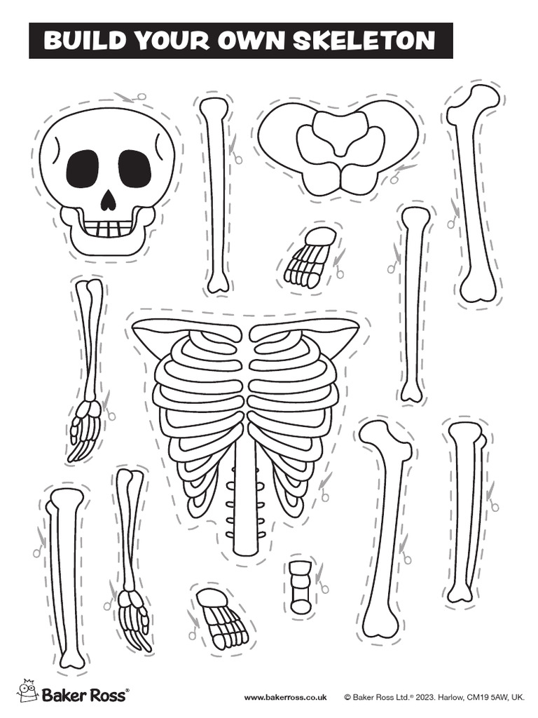 Build Your Own Skeleton Kit | PDF