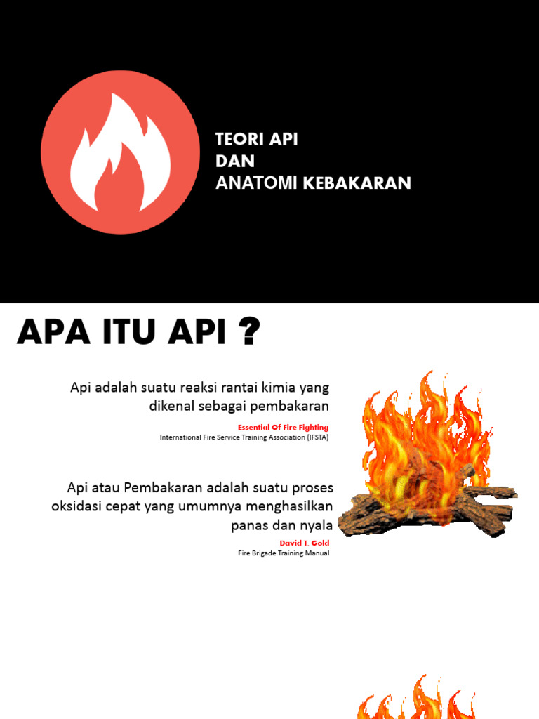 Teori Api Dan Anatomi | PDF