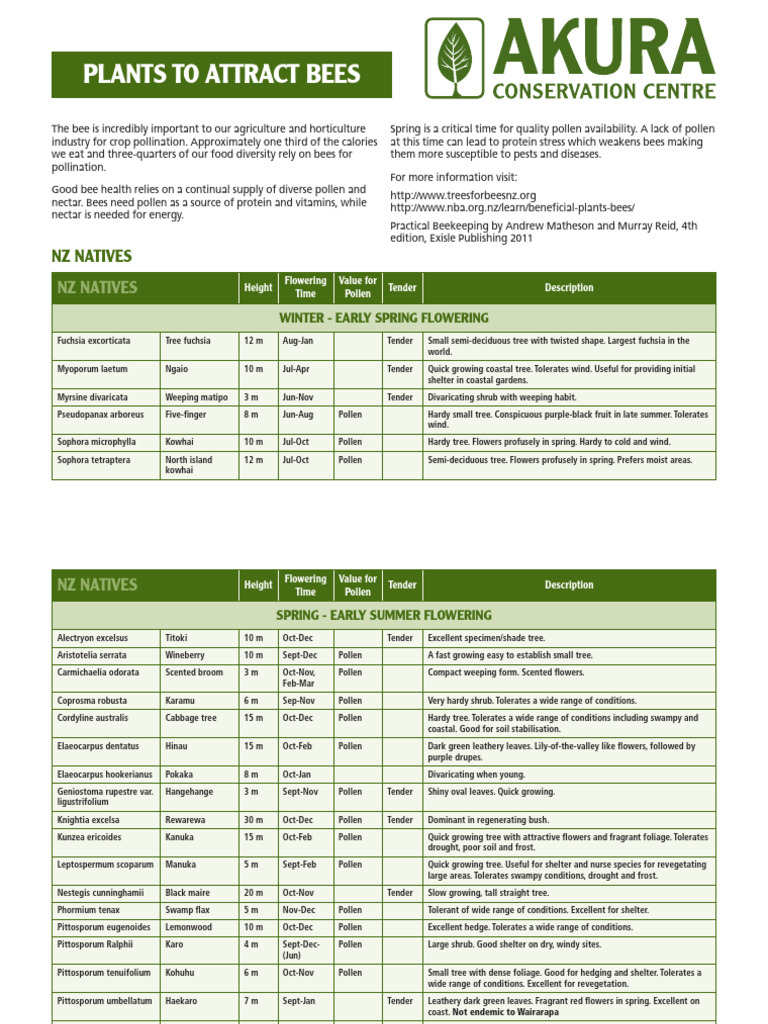 Akura Infosheet Plants To Attract Bees | PDF | Pollination | Bees