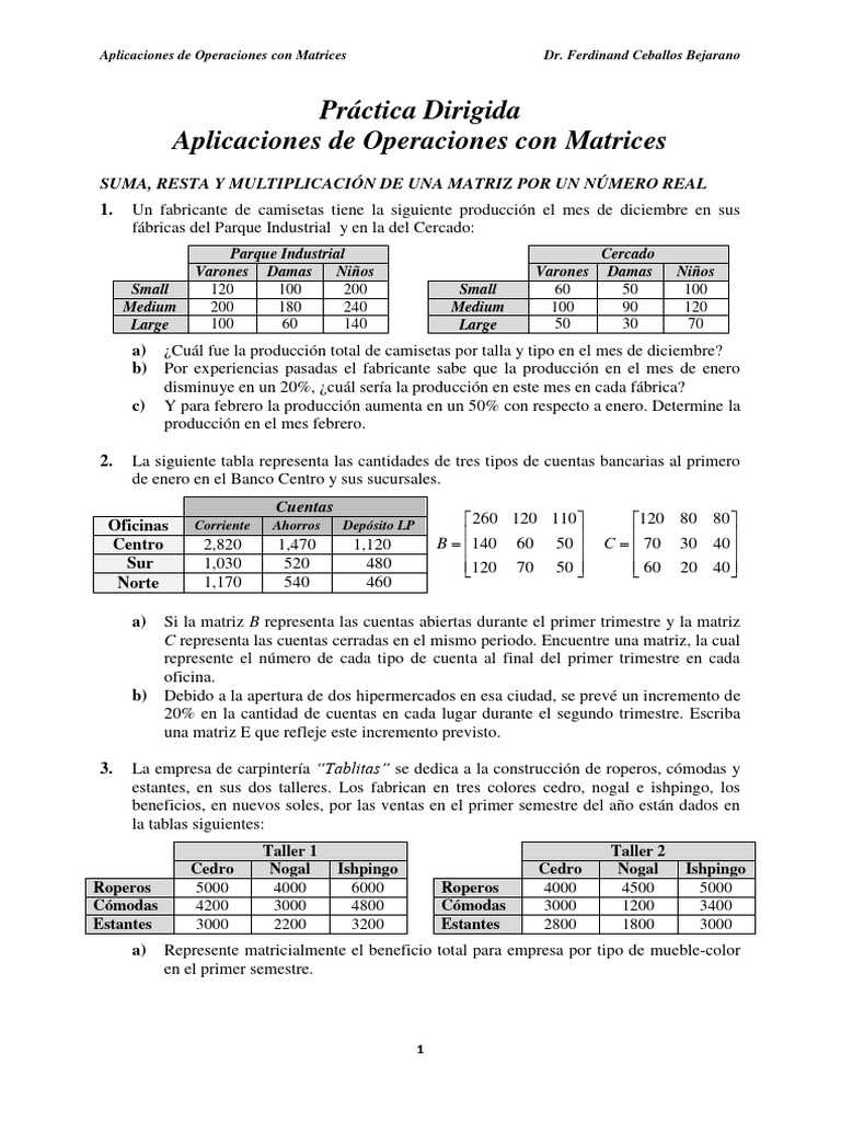 Aplicaciones de Matrices en Negocios | PDF | Matriz (Matemáticas)