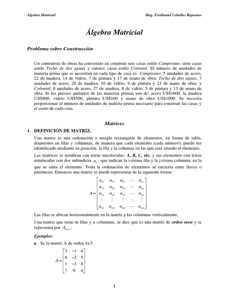 Apuntes de Algebra Matricial | PDF | Matriz (Matemáticas) | Análisis ...