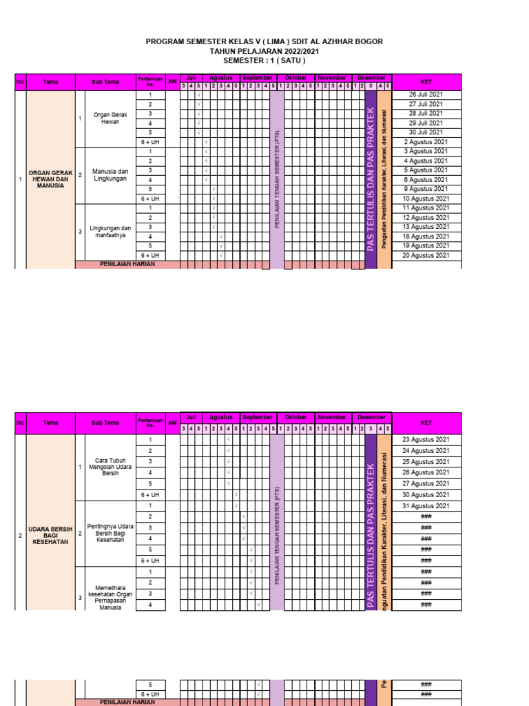 Program Semester Kelas V Tahun Pelajaran 2021 2022 | PDF