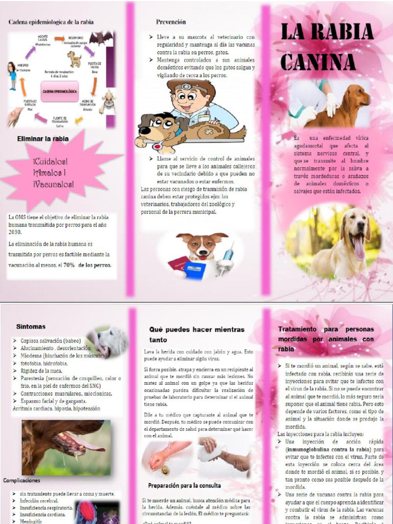 Tri'ptico Rabia | PDF