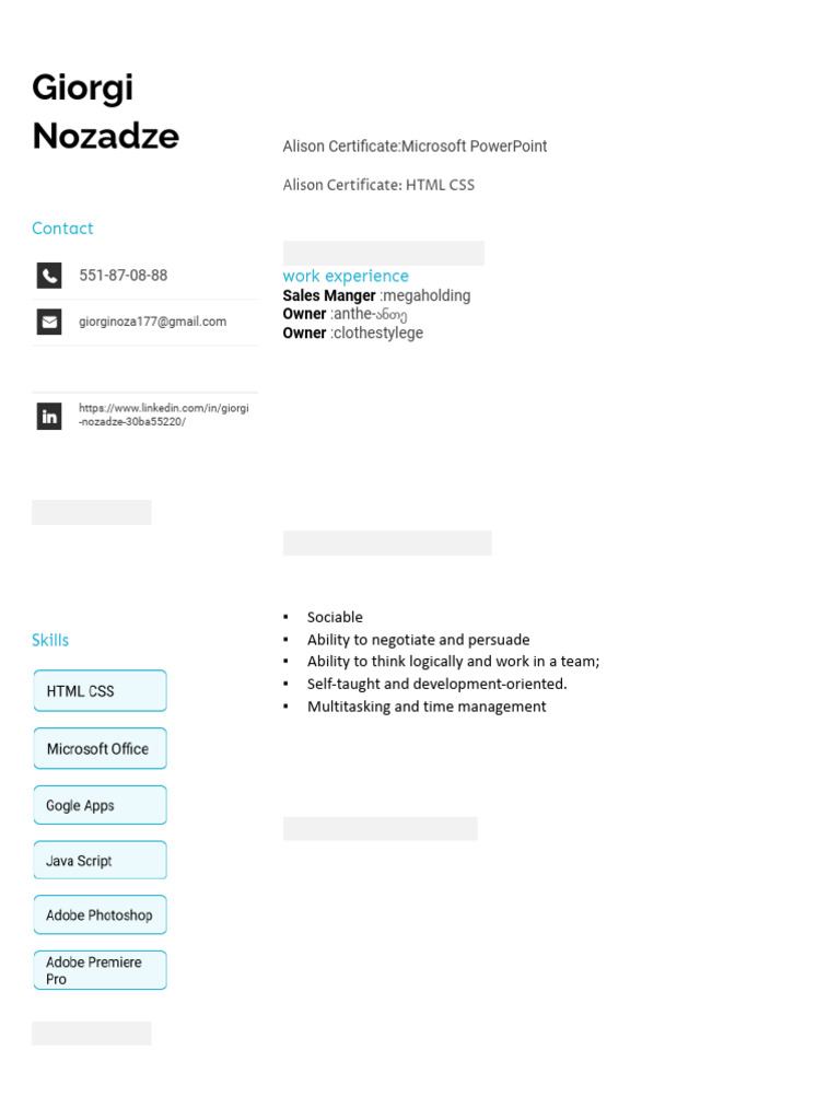 Giorgi Nozadze CV | PDF | Business