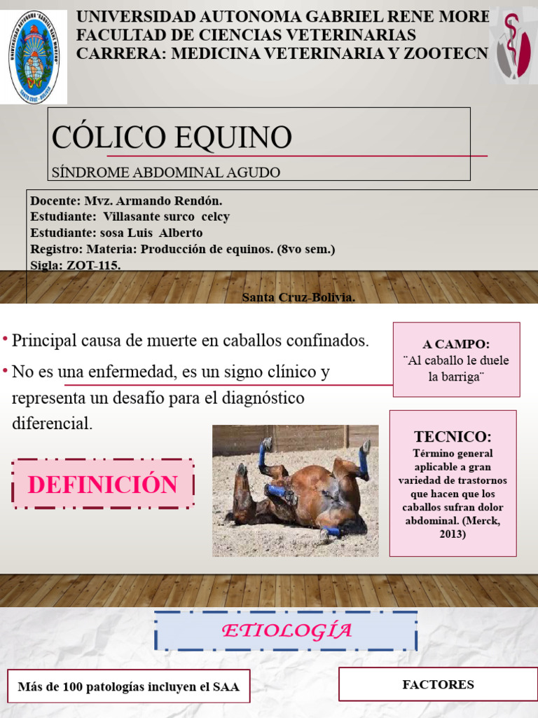 Cólico Equino: Diagnóstico y Tratamiento | PDF | Enfermedades y ...