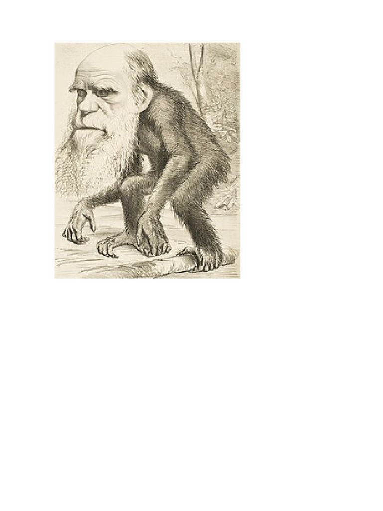 Charles Darwin | PDF