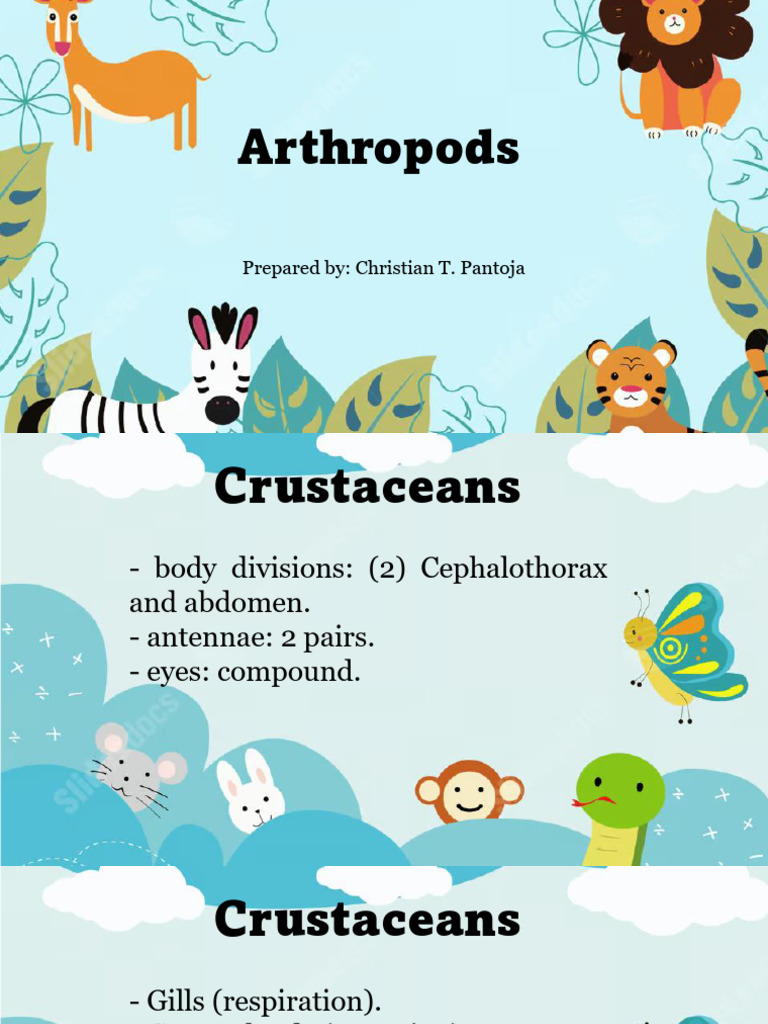 Arthropods Pdf