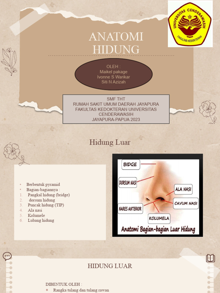 "Anatomi Hidung untuk Mahasiswa" | PDF