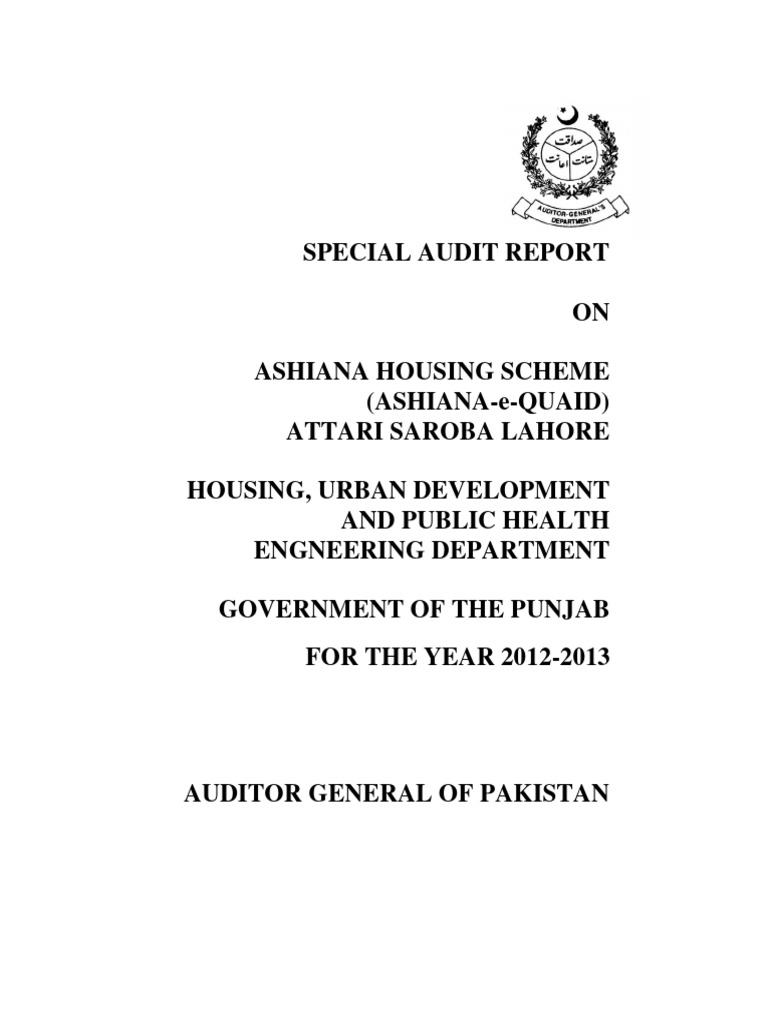 Special Audit Report | PDF | Audit | Environmental Impact Assessment