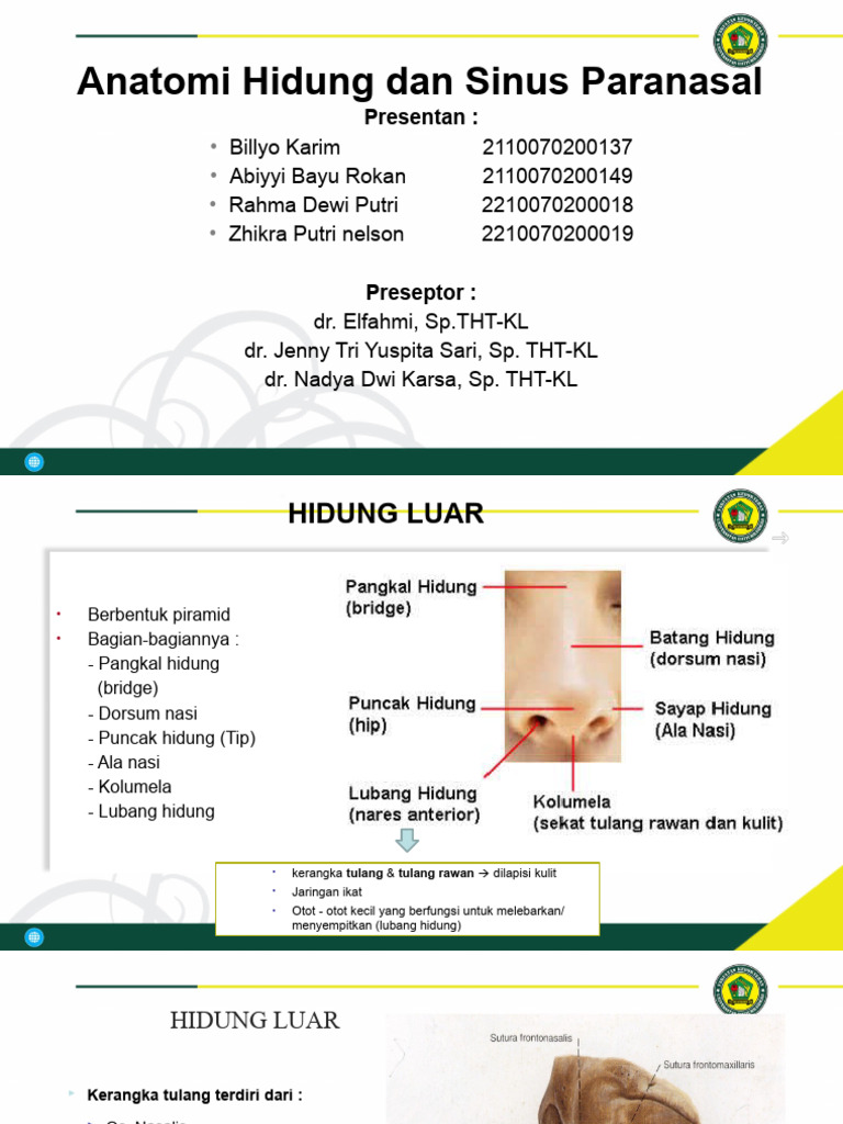 Anatomi Hidung Dan Sinus Paranasal Kel 3 Fix | PDF | Kajian Bahasa Asing