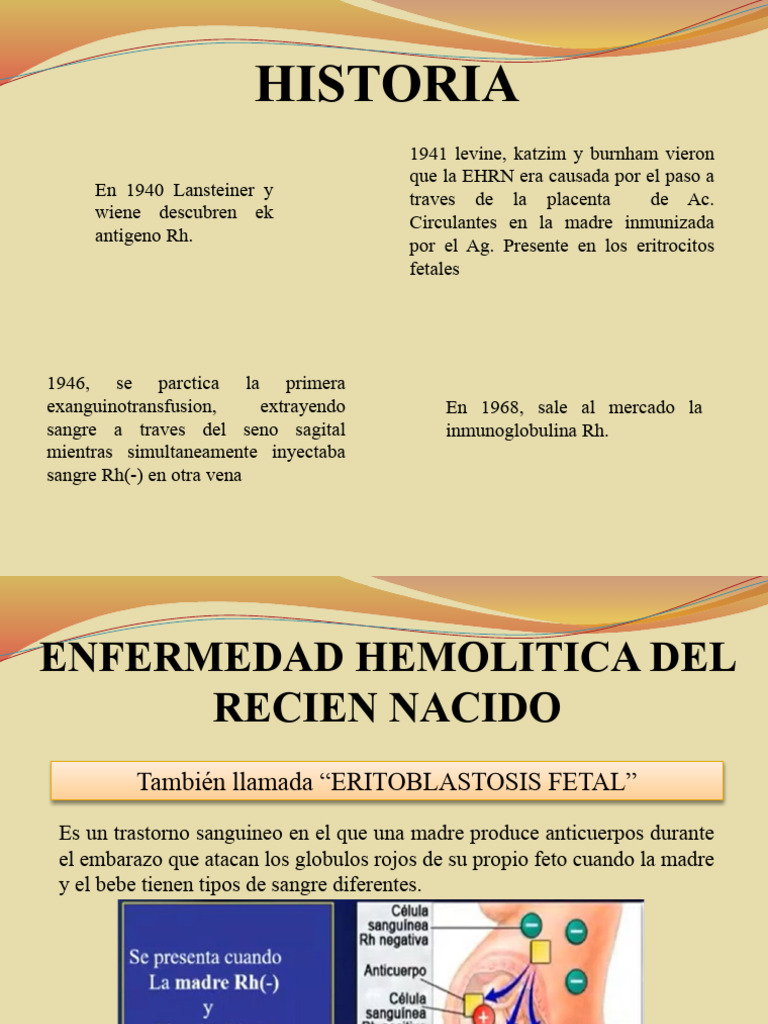 EHRN | PDF | Especialidades Medicas | Medicina CLINICA