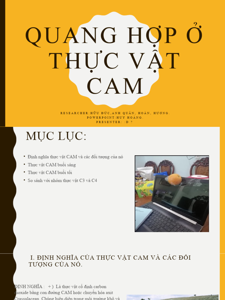 Cam | PDF
