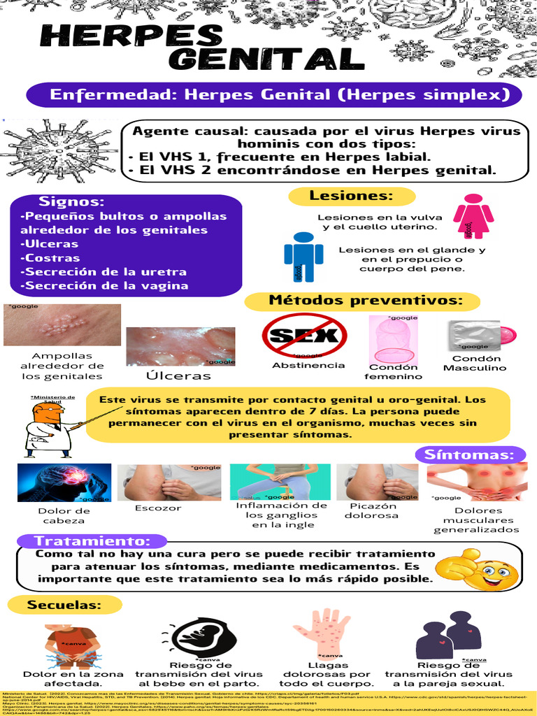 Herpes Genital | PDF | Herpes Simple | Reproducción humana