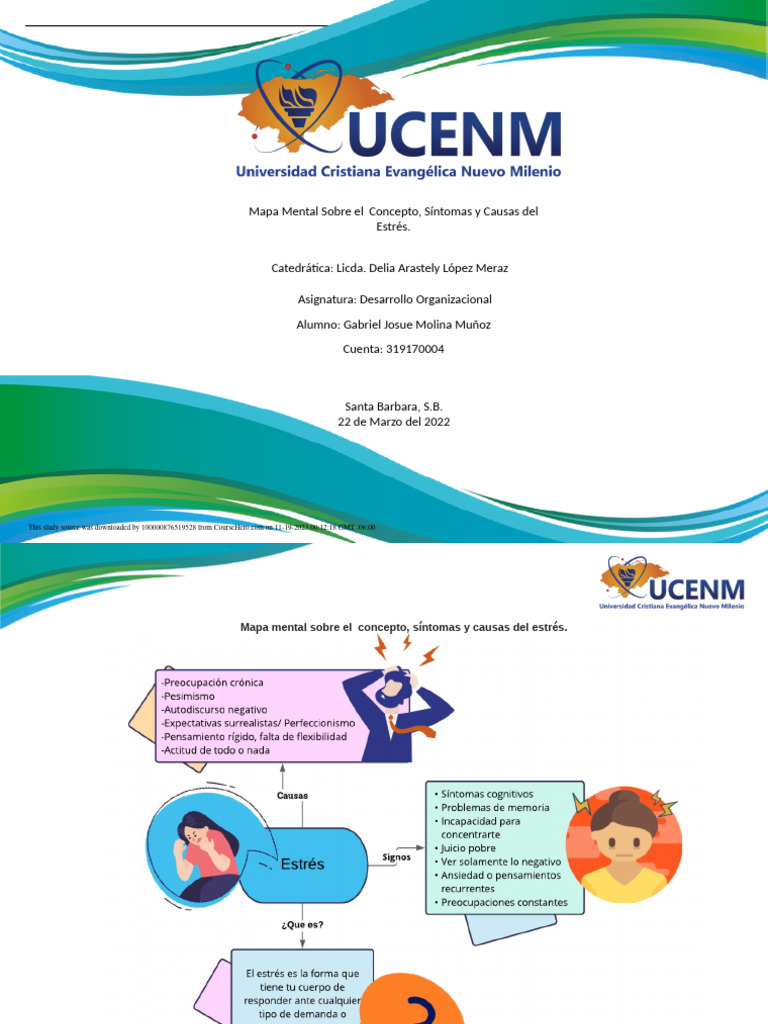 Mapa Mental: Estrés, Síntomas y Causas | PDF