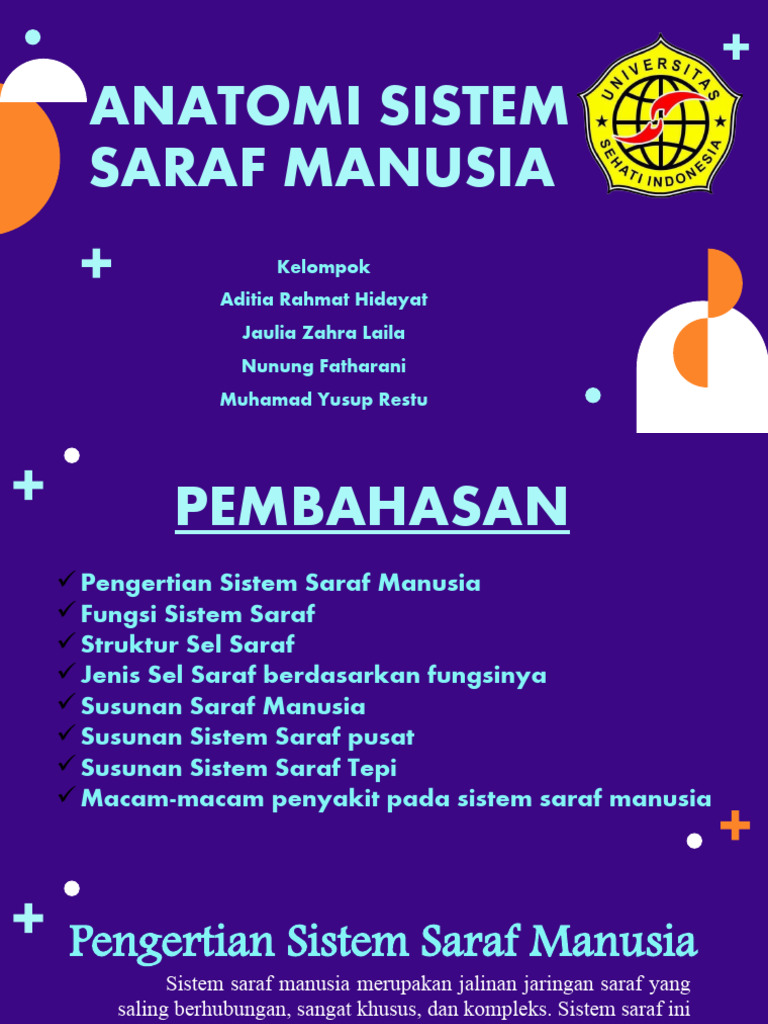 Jenis dan Fungsi Sel Saraf Manusia | PDF