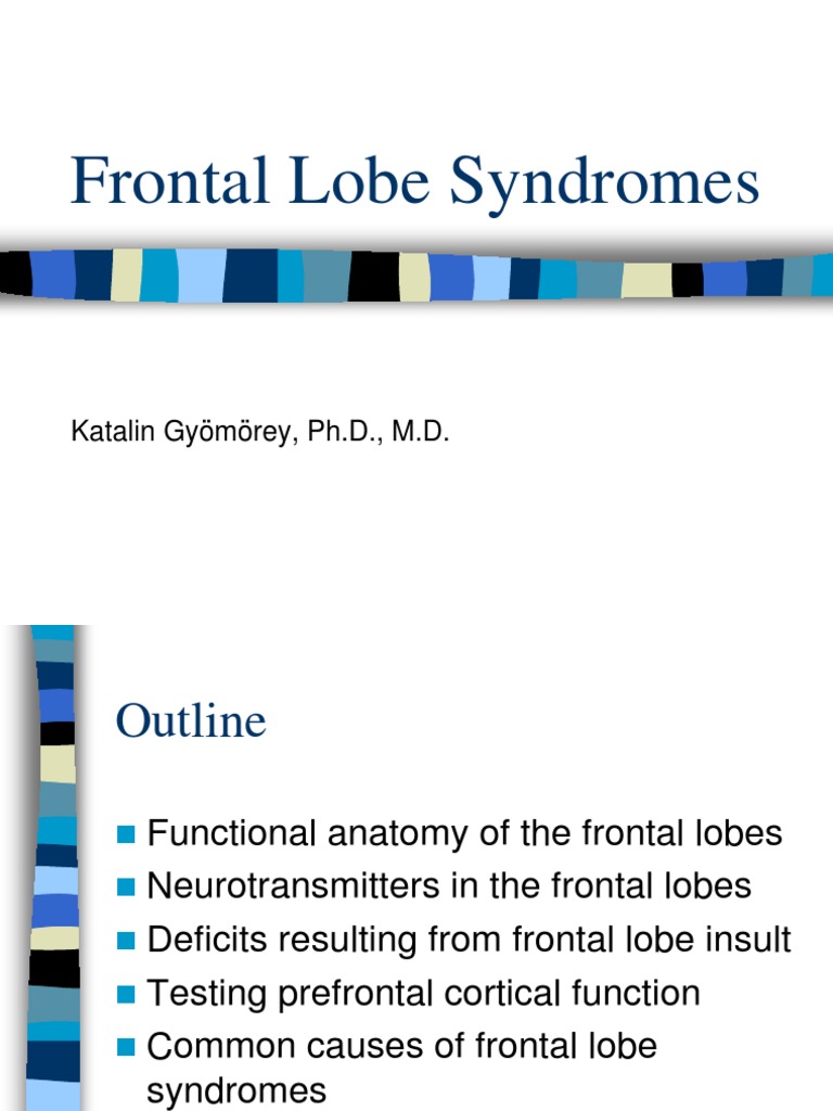 Frontal Lobe Syndromes Final 22 | Cerebral Cortex | Frontal Lobe