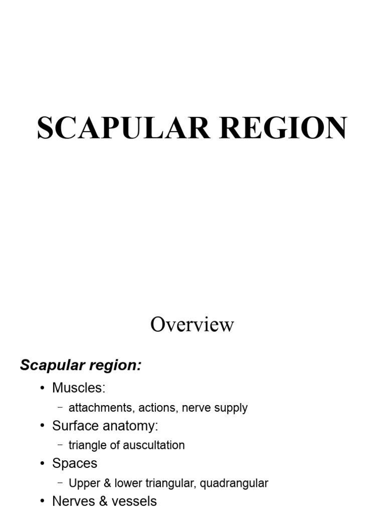 Scapular Region | PDF | Shoulder | Limbs (Anatomy)