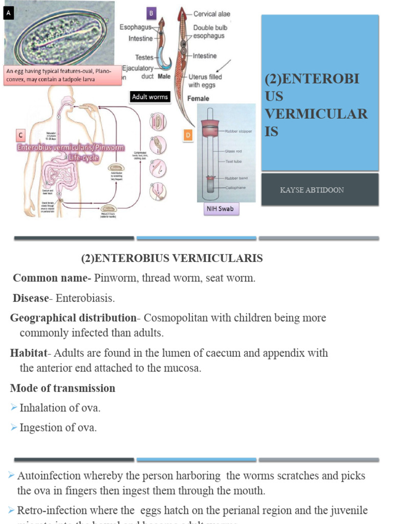 General Parasitology L3 | PDF | Health Sciences | Causes Of Death