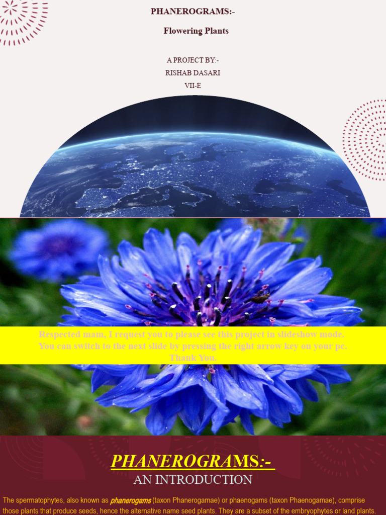 Phanero Grams | PDF | Plants | Taxa