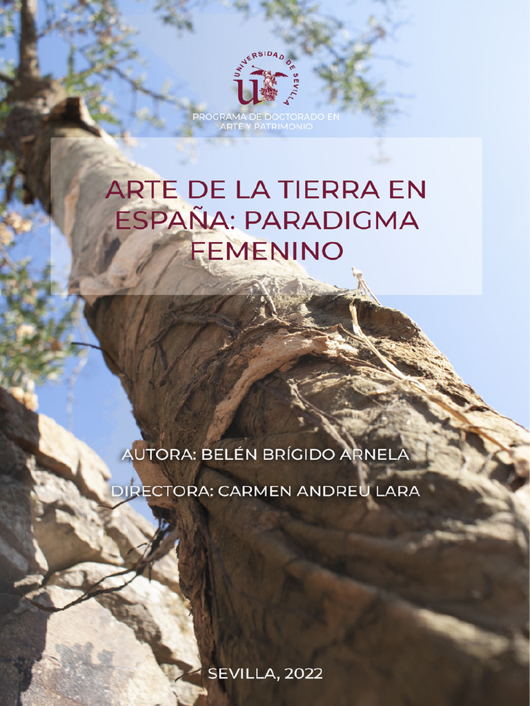 Brigido Arnela, Belén Tesis | PDF