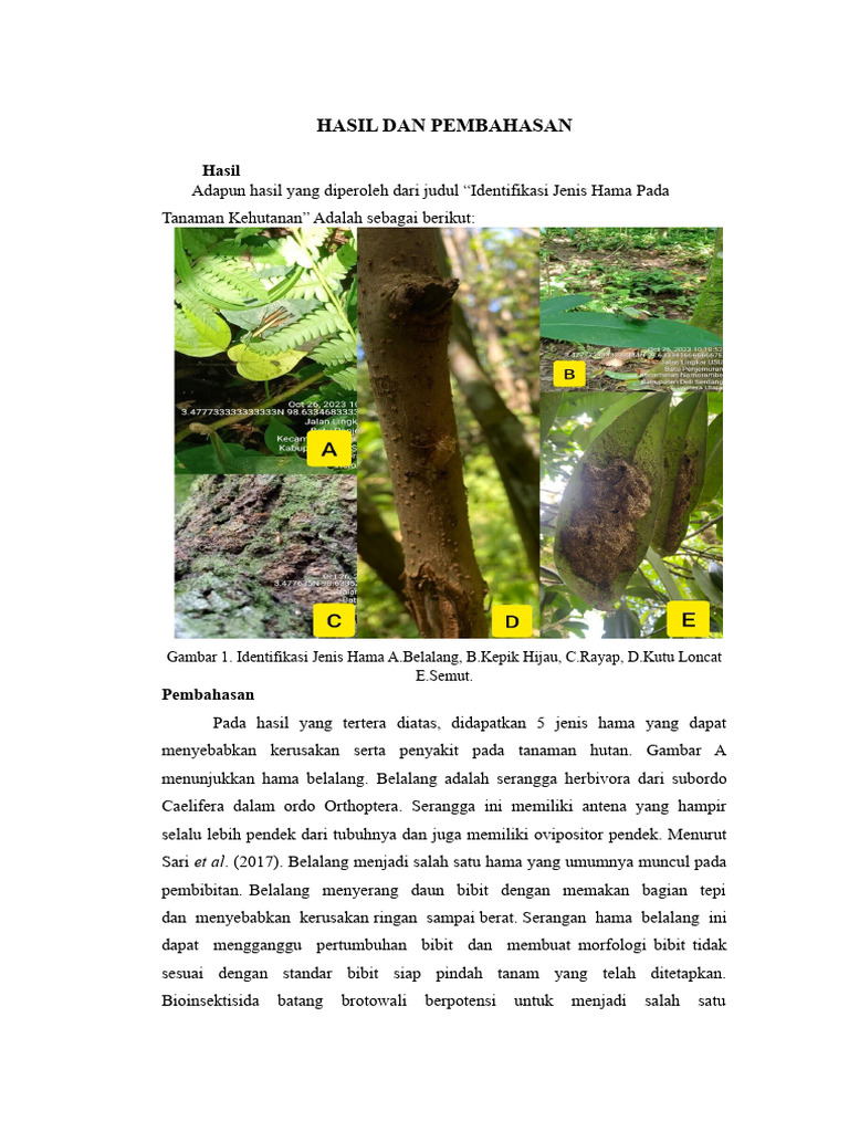 Haspem Hama Hutan | PDF | Griya & Taman | Sains & Matematika