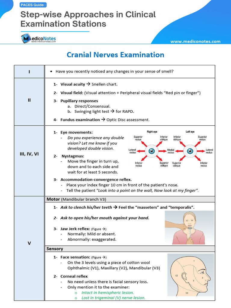 Step-Wise Approaches in Clinical Examination - Sample | PDF | Visual ...