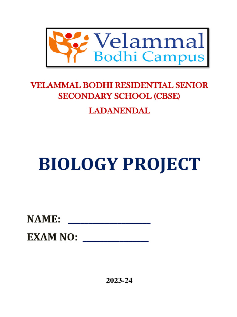 Project Certificate | PDF