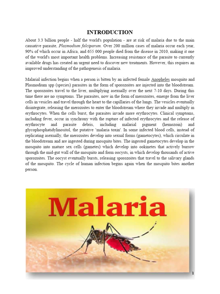 Introduction to Malaria Pathophysiology | PDF | Malaria | Plasmodium